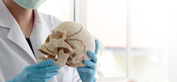How Can I Become a Forensic Anthropologist?